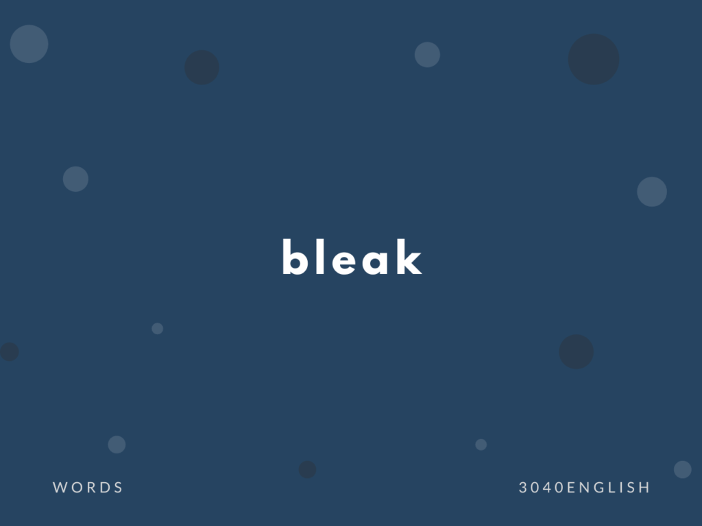 bleak の意味と簡単な使い方【音読用例文あり】 | 30代40代で身につける英会話